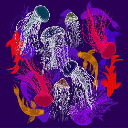 TOI GALLERY SPECIAL GUESTS - Toi Art Gallery