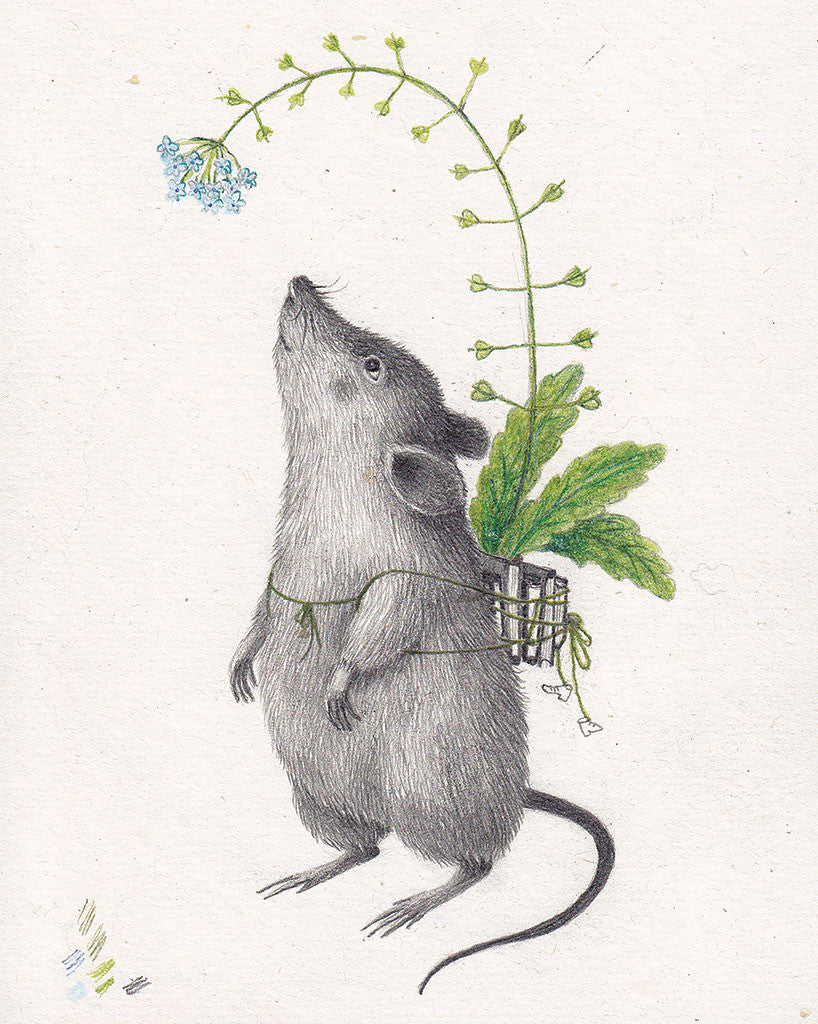 Vintage Mouse Illustration